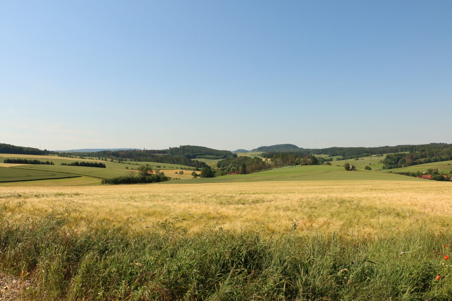Gleich hier in Gleichen – Geschichten aus der Gemeinde – Gemeinde Gleichen